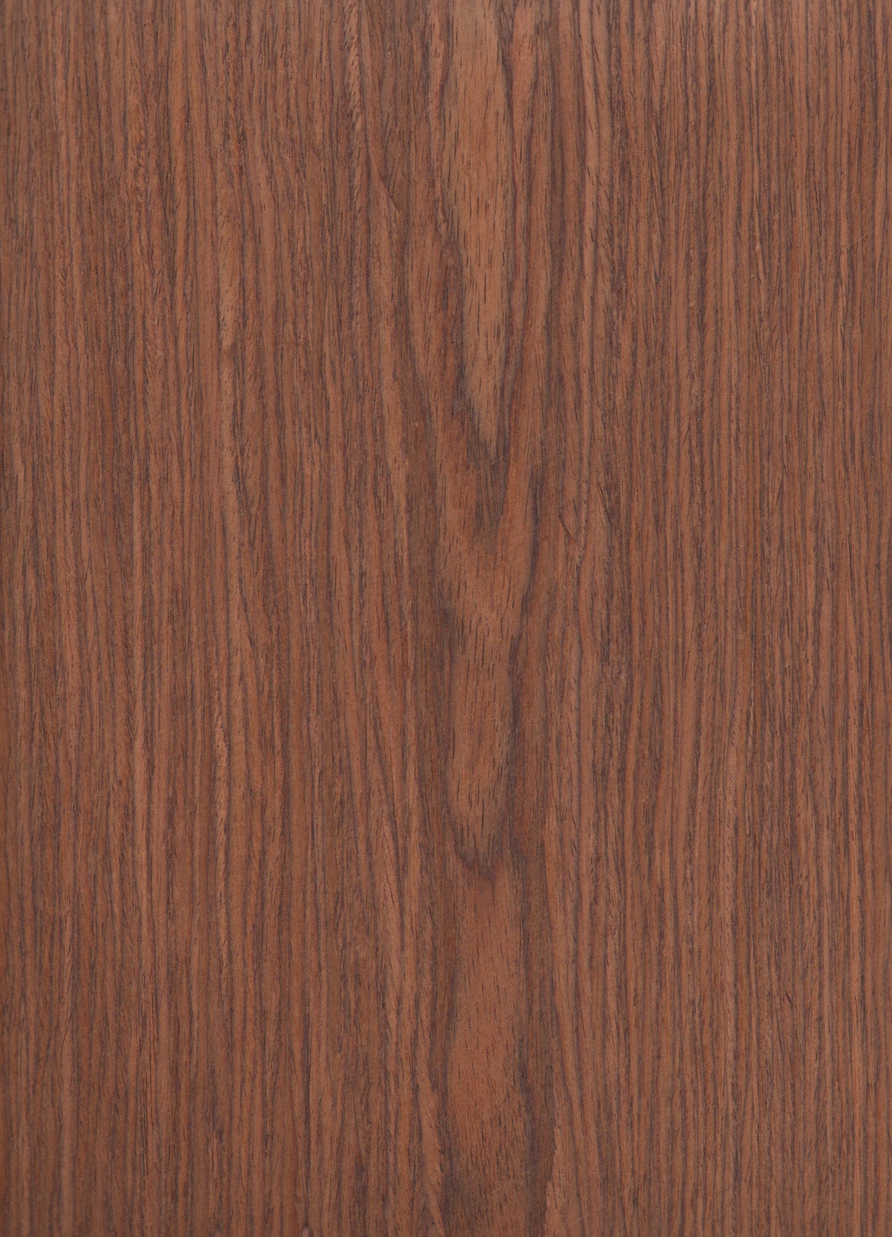 Nuestros Productos | aquichapillas