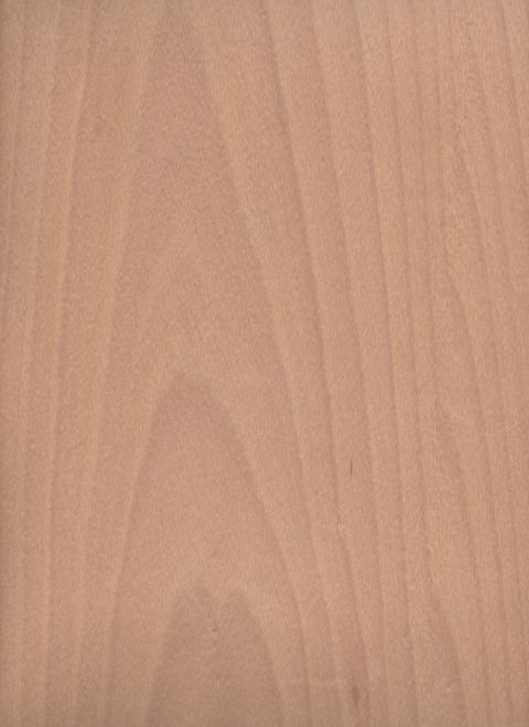 Nuestros Productos | aquichapillas